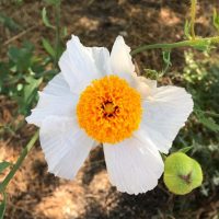 Conrad Reeder | Maybe time is an illusion and everything is happening ...